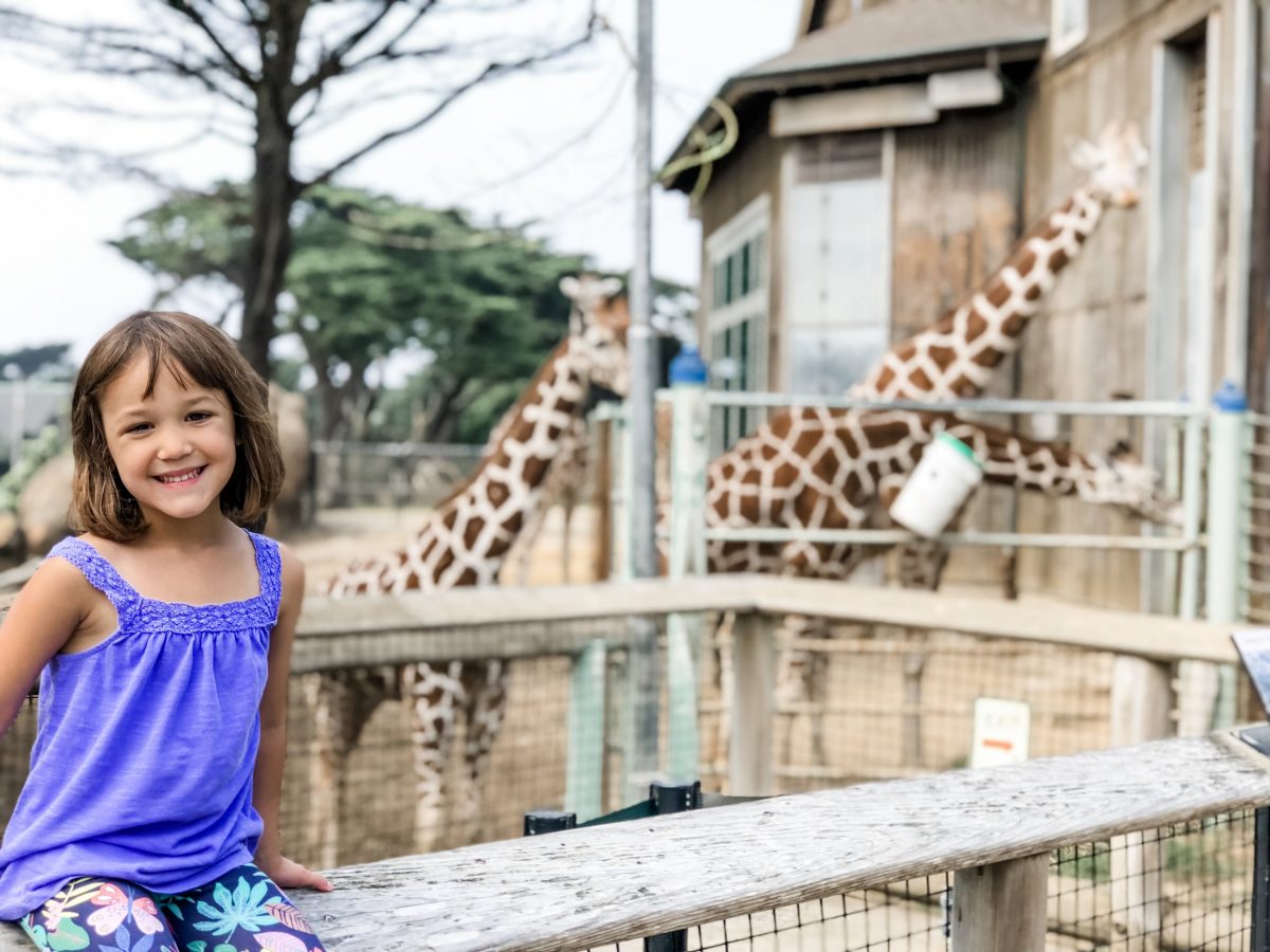Kid Approved San Francisco Activities - Nomad Veronica
