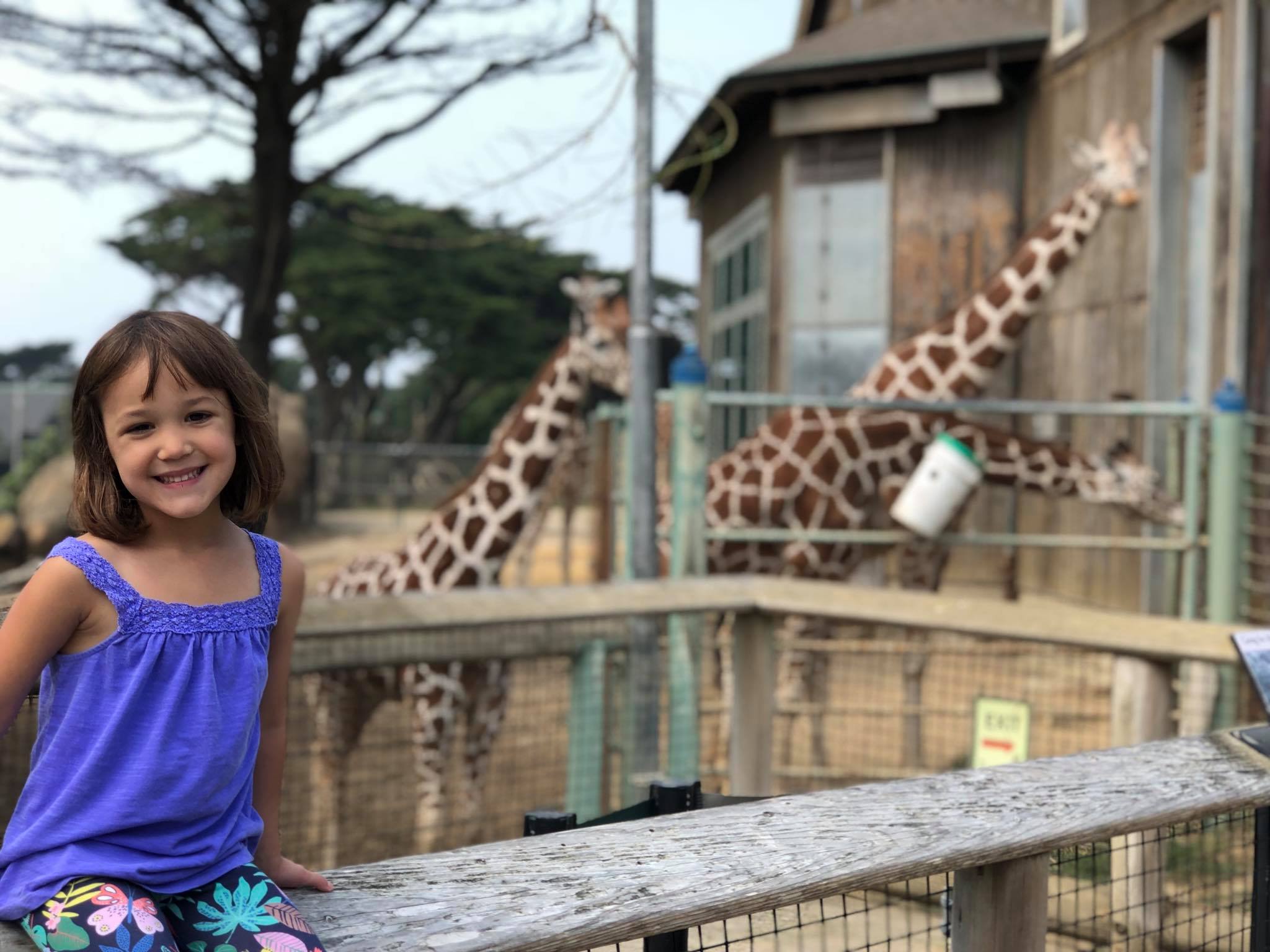 37 Minimalist Christmas Gifts for Kids - Nomad Veronica