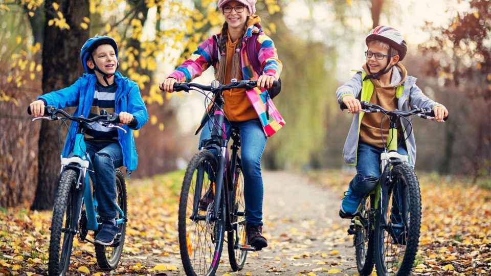 7 Interactive Safety Lessons Your Kids Will Learn From - Nomad Veronica