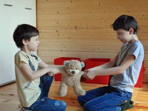 Fostering Strong Sibling Relationships: Tips and Tricks - Nomad Veronica