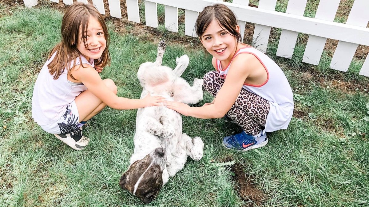 Fostering Financial Freedom with 14 Business Ideas for Kids - Nomad ...