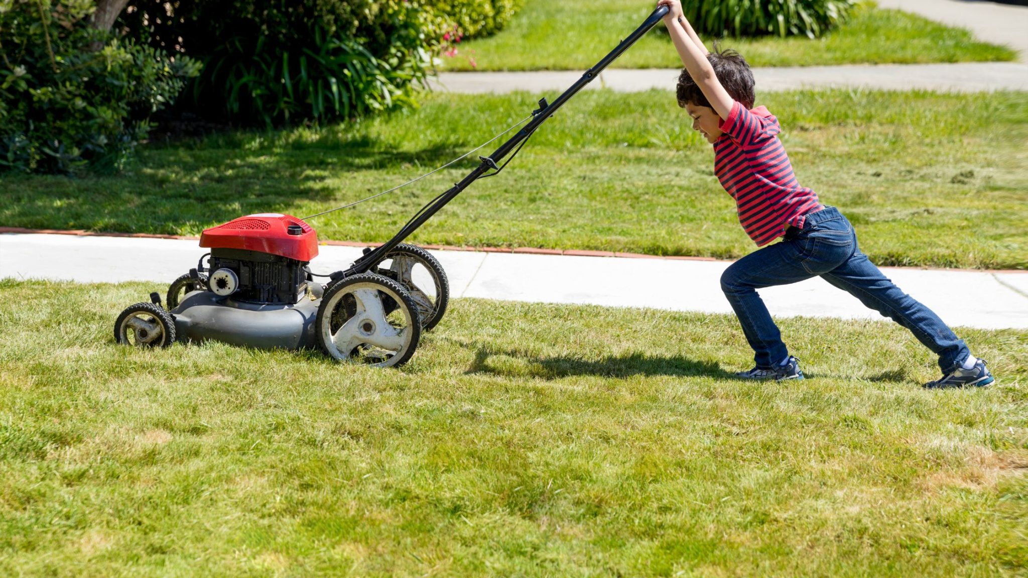 Entrepreneurship for Your Kid With These 11 Business Ideas - Nomad Veronica
