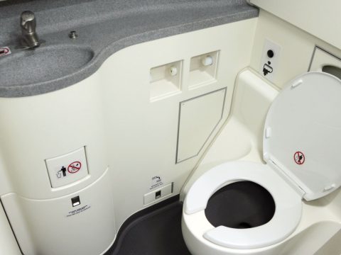Where Does Poop Go on a Plane After the Flush? - Nomad Veronica