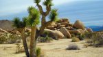 Sun & Fun in the 7 Best Spring Break Destinations for Families - Nomad ...