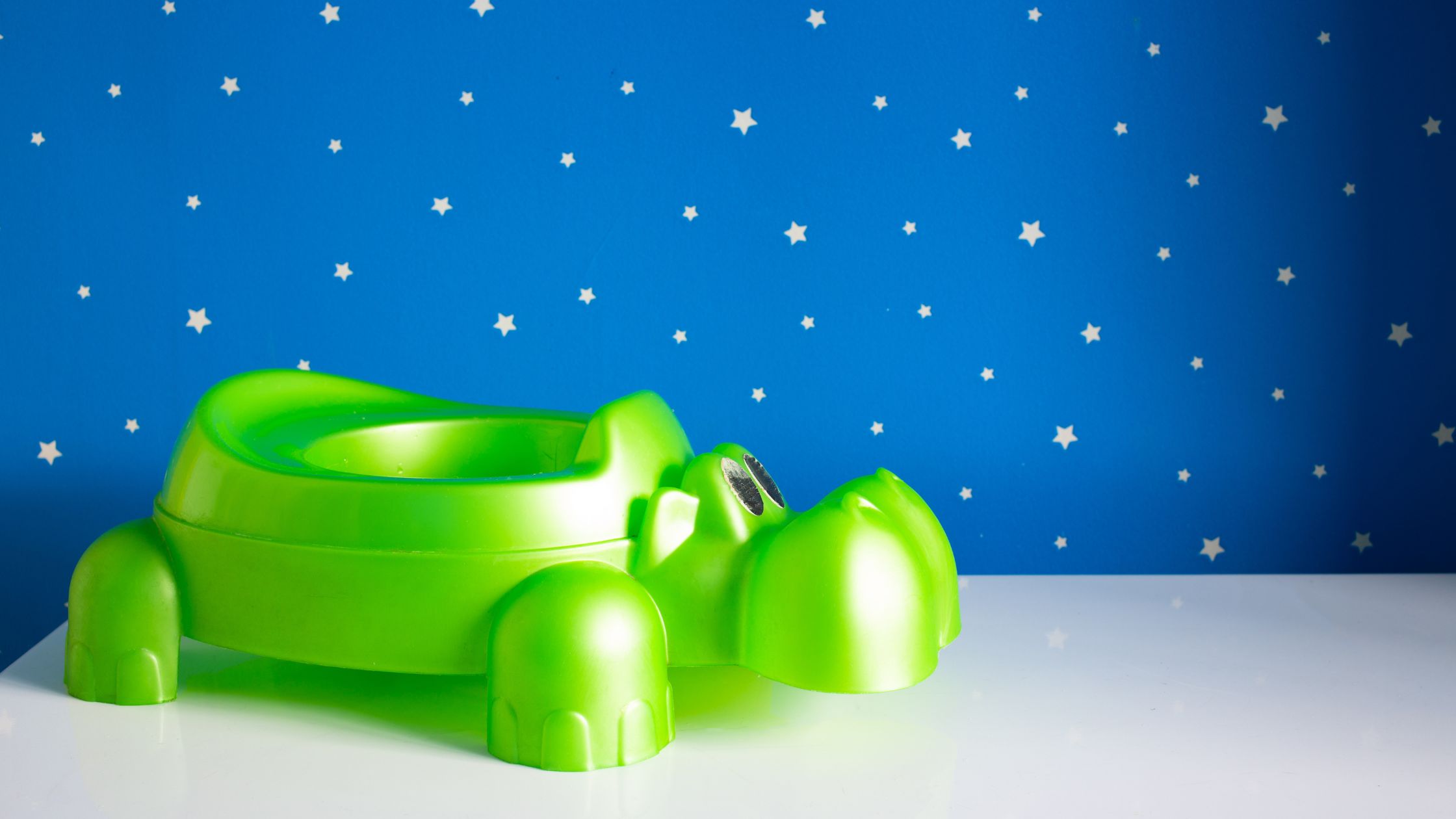 Only Travel Potty Seat for You Need for Toddlers - Nomad Veronica