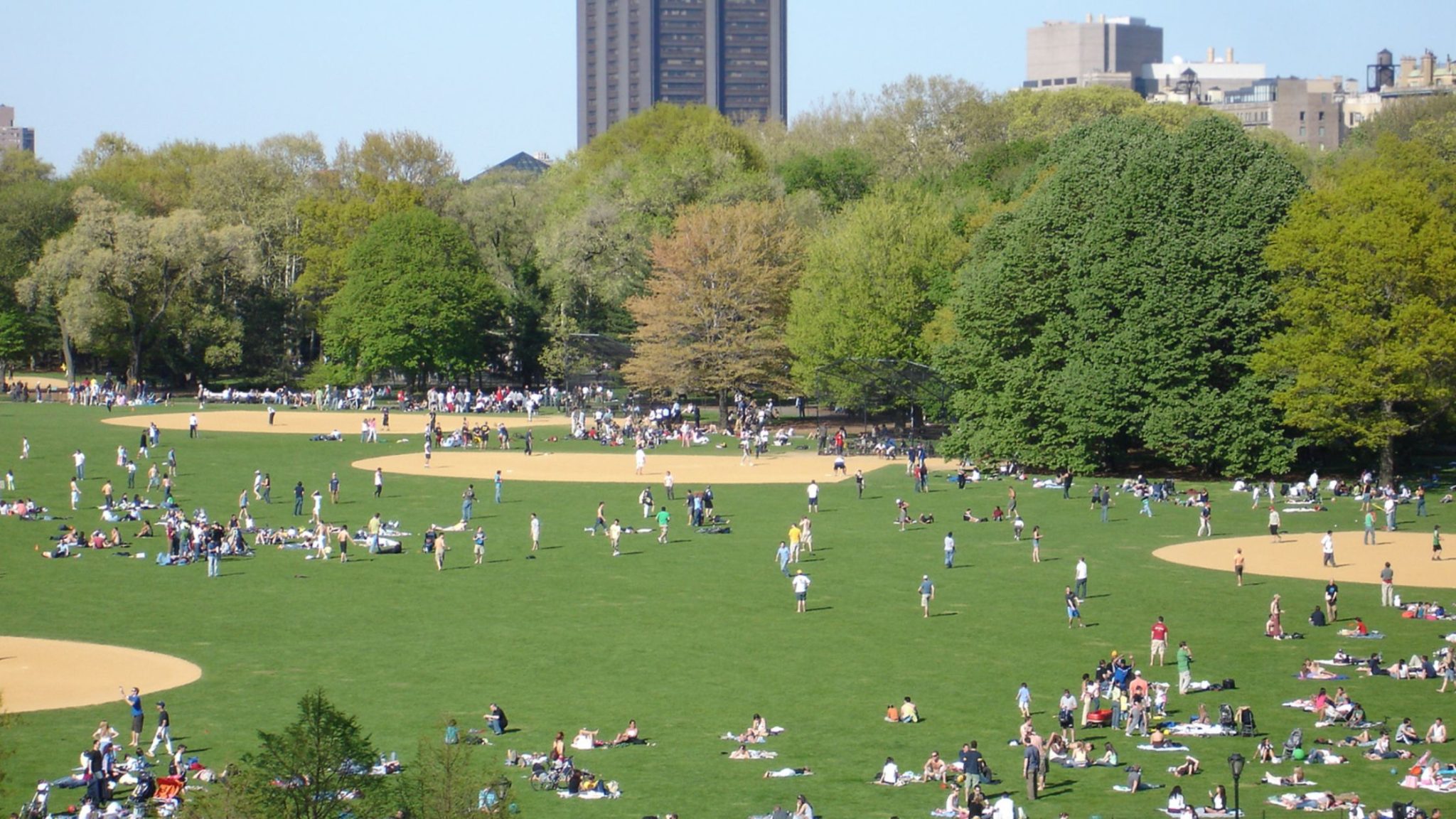 Ultimate Guide to Kid-Friendly Activities in NYC - Nomad Veronica