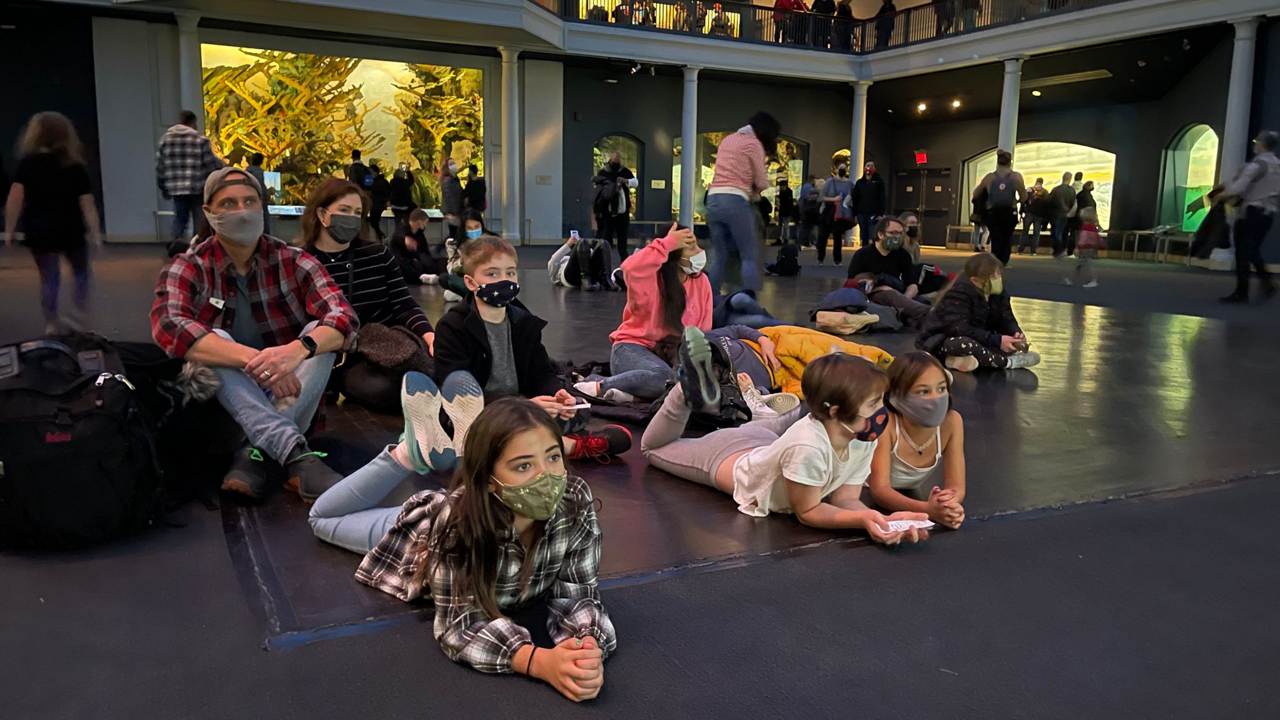 Ultimate Guide to Kid-Friendly Activities in NYC - Nomad Veronica