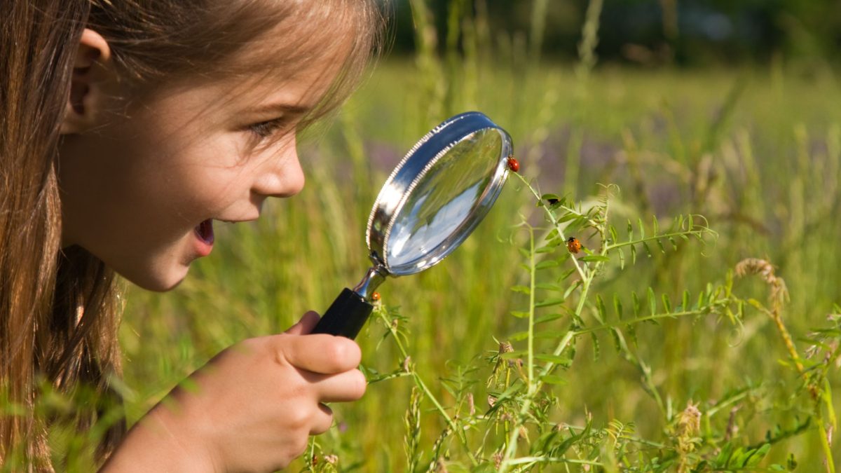 Engaging Activities to Keep Kids Entertained on Vacation - Nomad Veronica