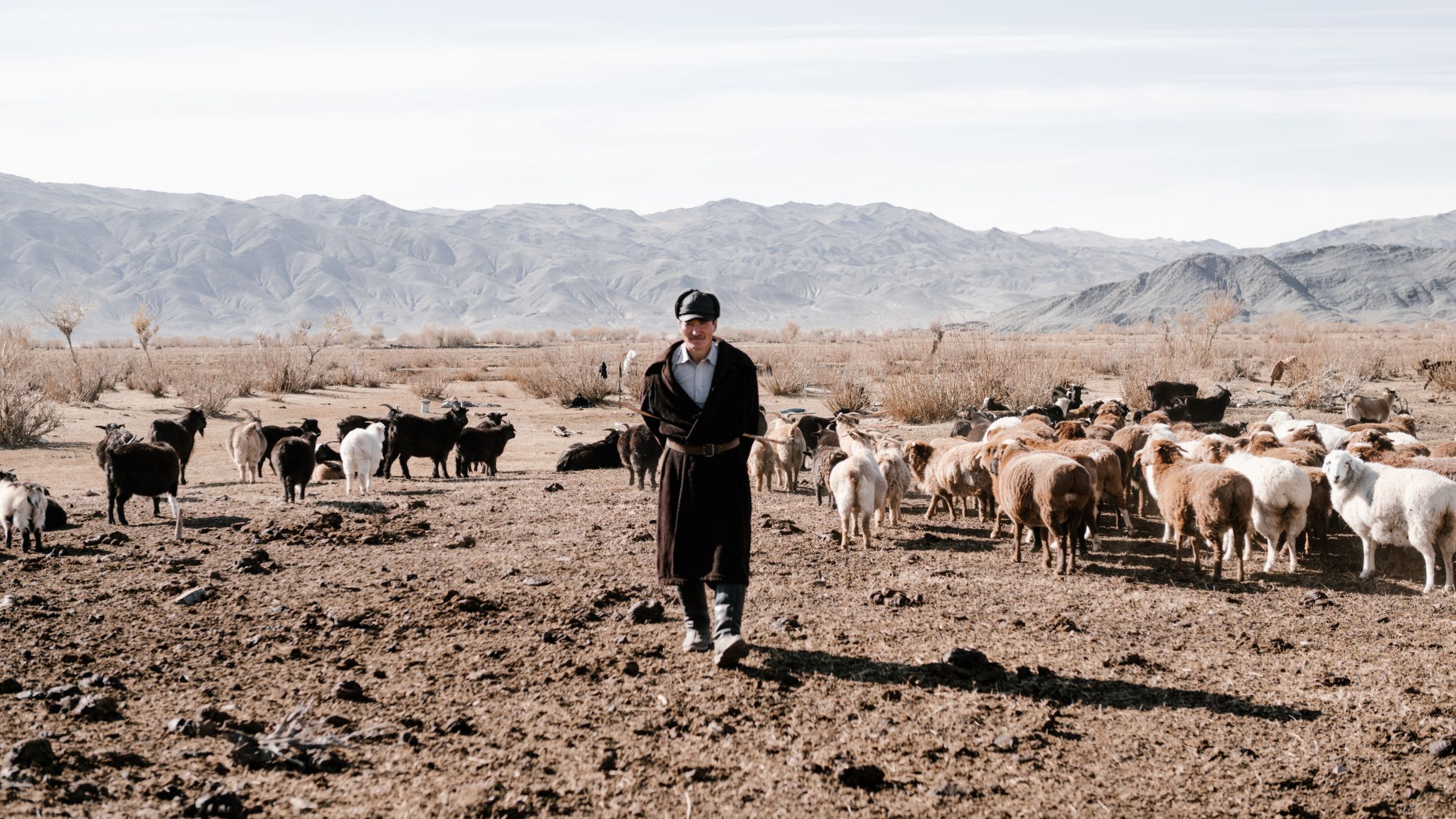 Evolution of Nomads: Ancient Tribes to Digital Freelancers - Nomad Veronica