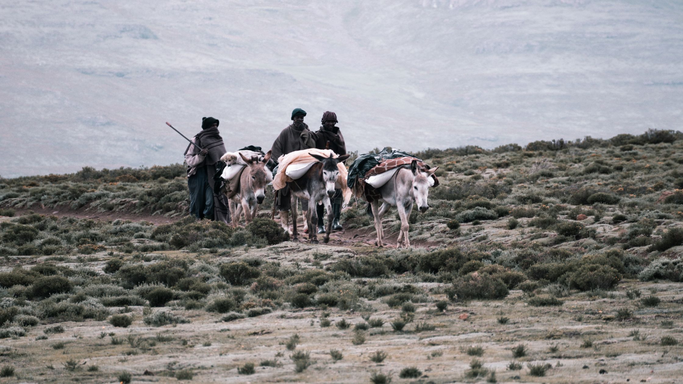 Evolution of Nomads: Ancient Tribes to Digital Freelancers - Nomad Veronica