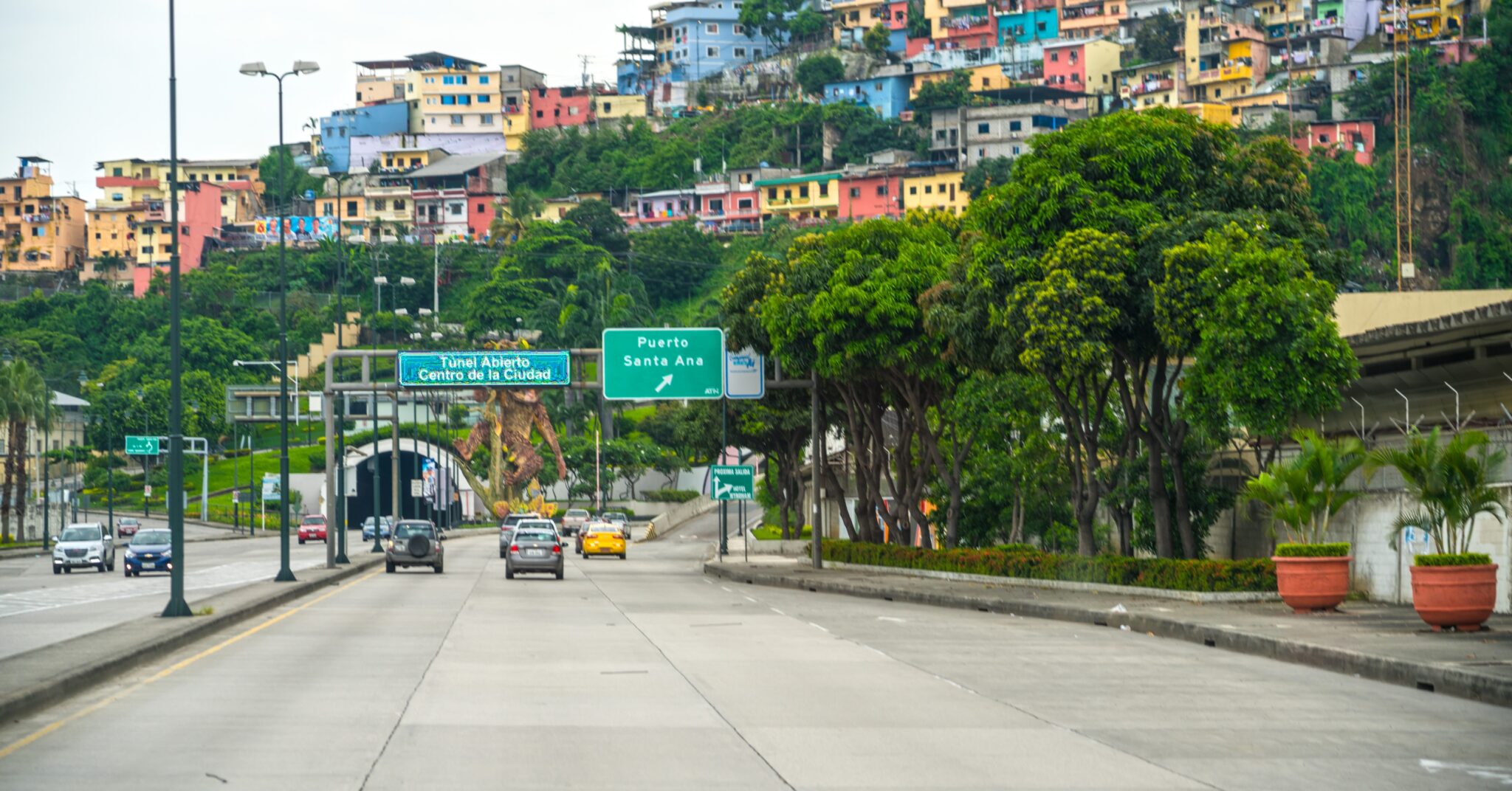 Life as an Ecuador Expat [Everything You Need to Know] - Nomad Veronica